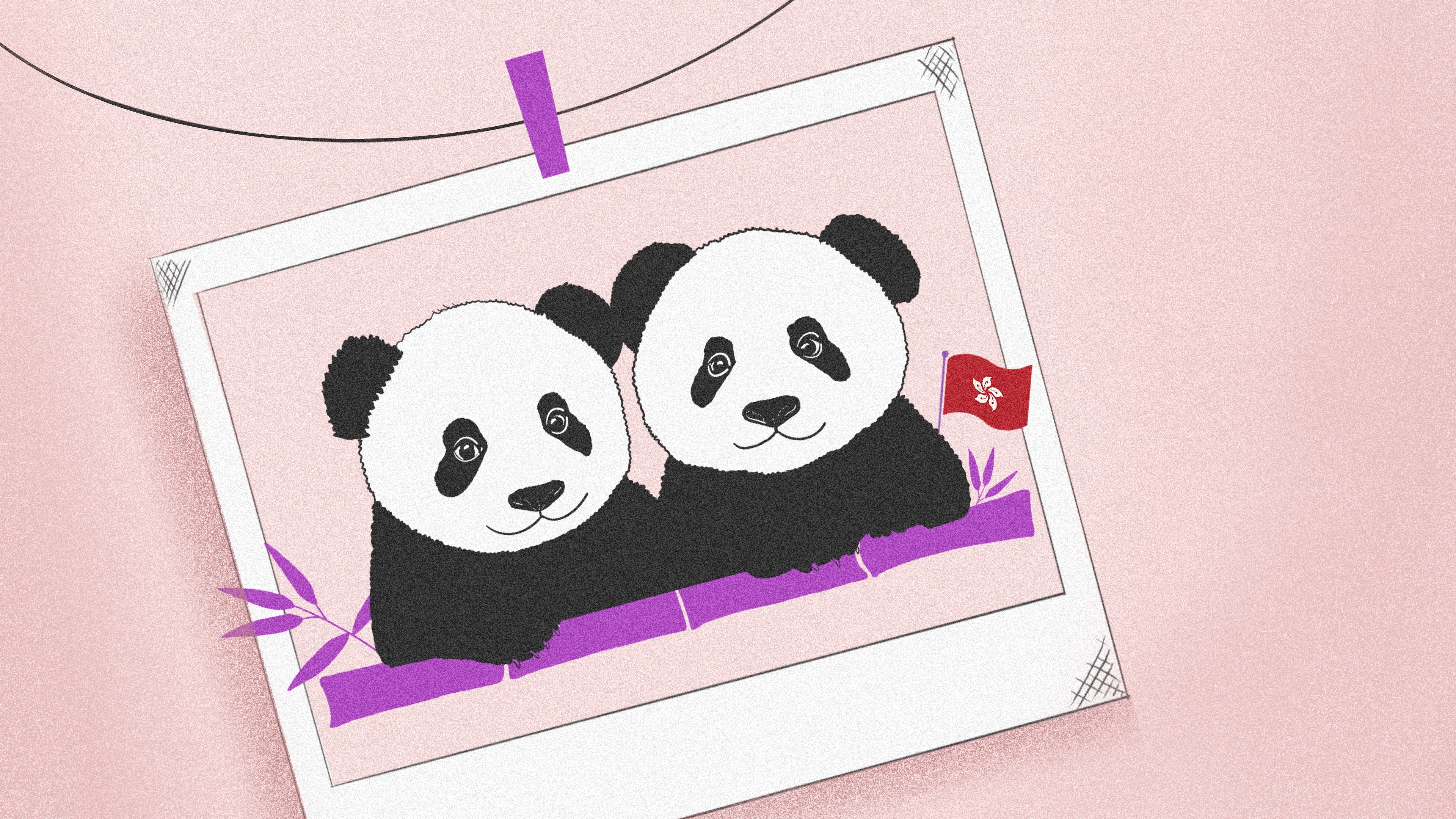 What are Hong Kong’s baby panda twins up to? Track their growth and ...