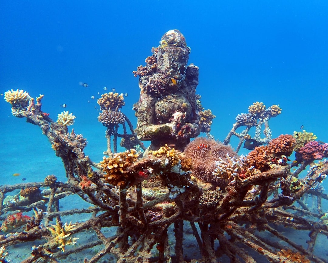 How today's explorers can help us to save Mother Earth for our tomorrow ...