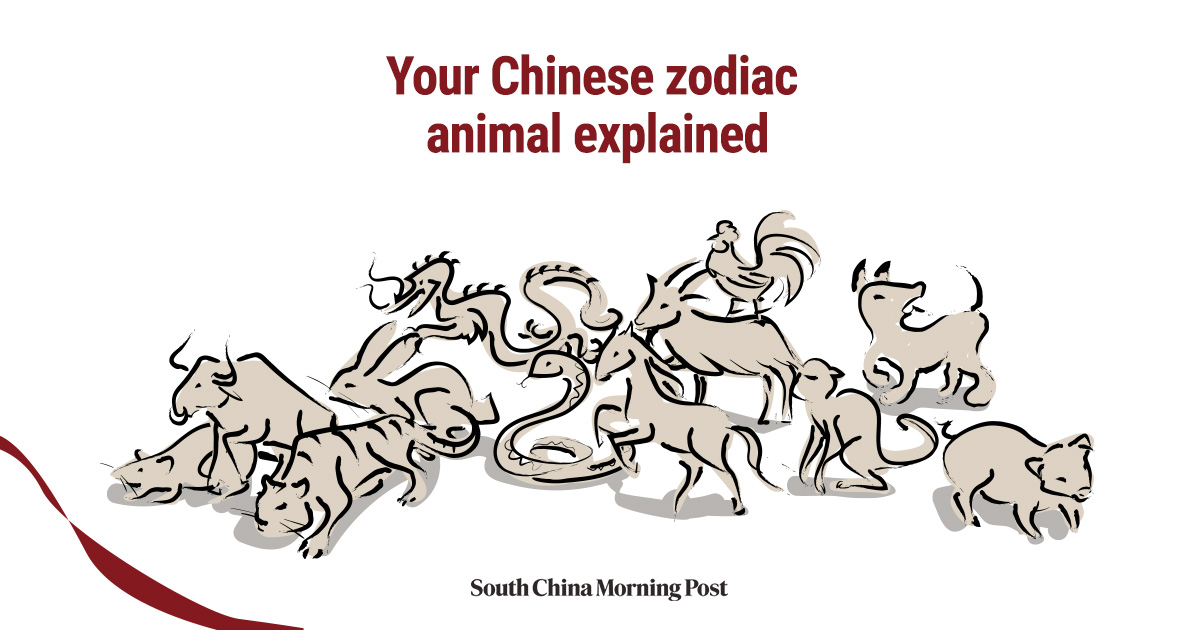 Your Chinese zodiac animal explained